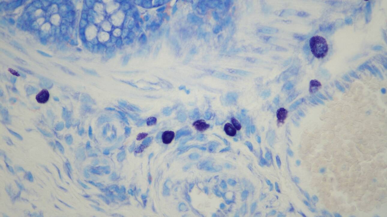 La nostra storia – Epitech Group spa