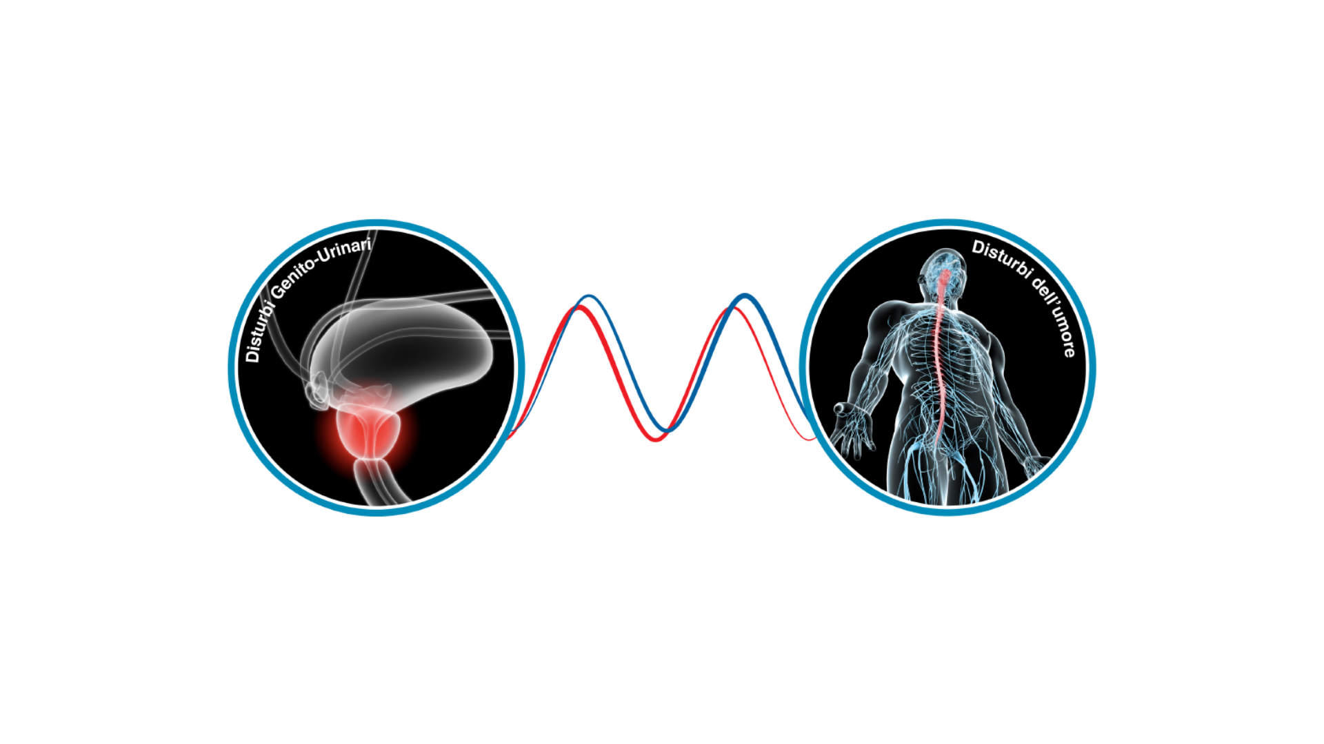 A patented synergistic formulation for pelvic discomfort and mood management – Epitech Group spa